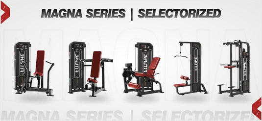 FitLine | Magna | Commercial Gym Equipment – tagged "Magna" – Fitline India