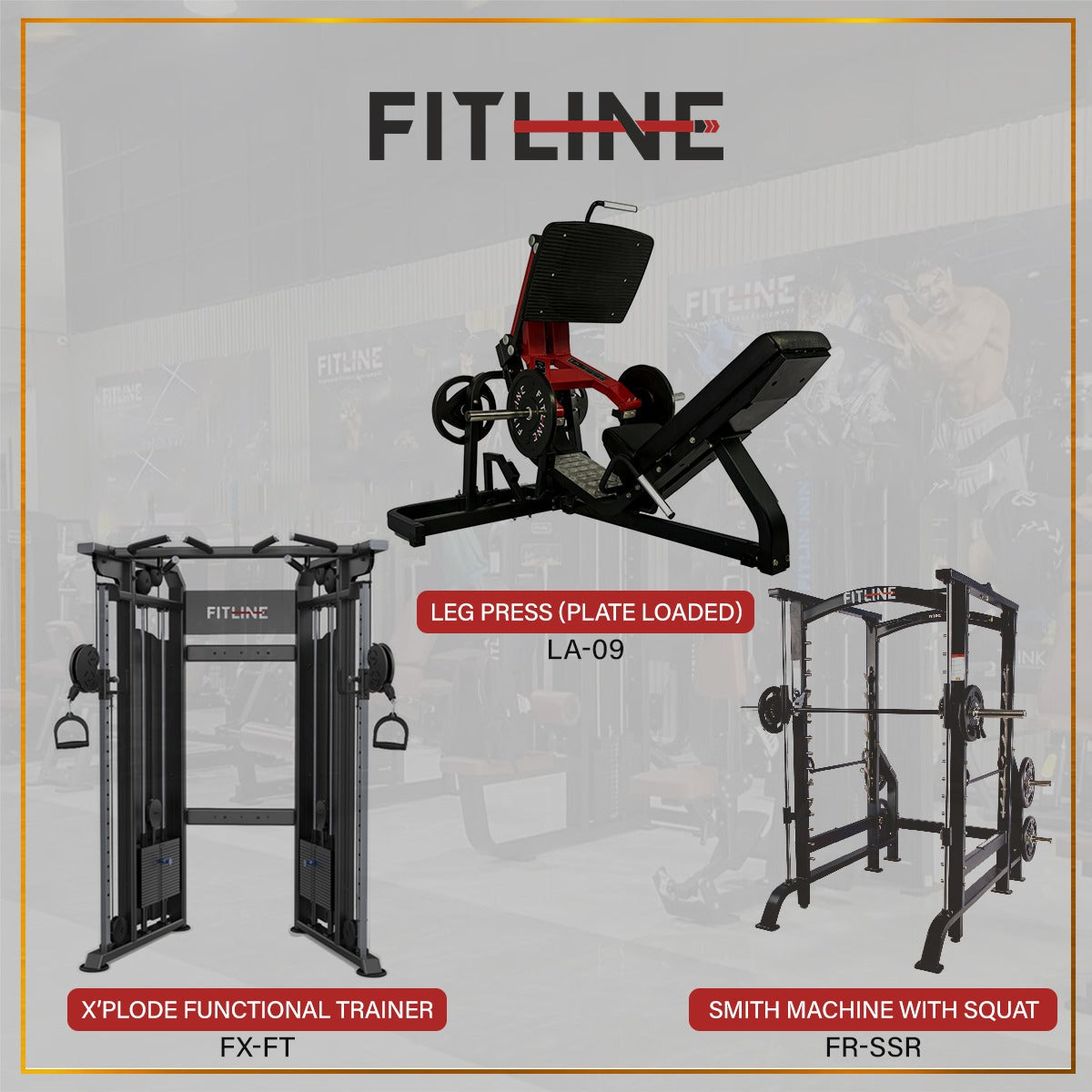 FitLine | Complete Gym Setup | Elite Package (₹16.29L) – Fitline India