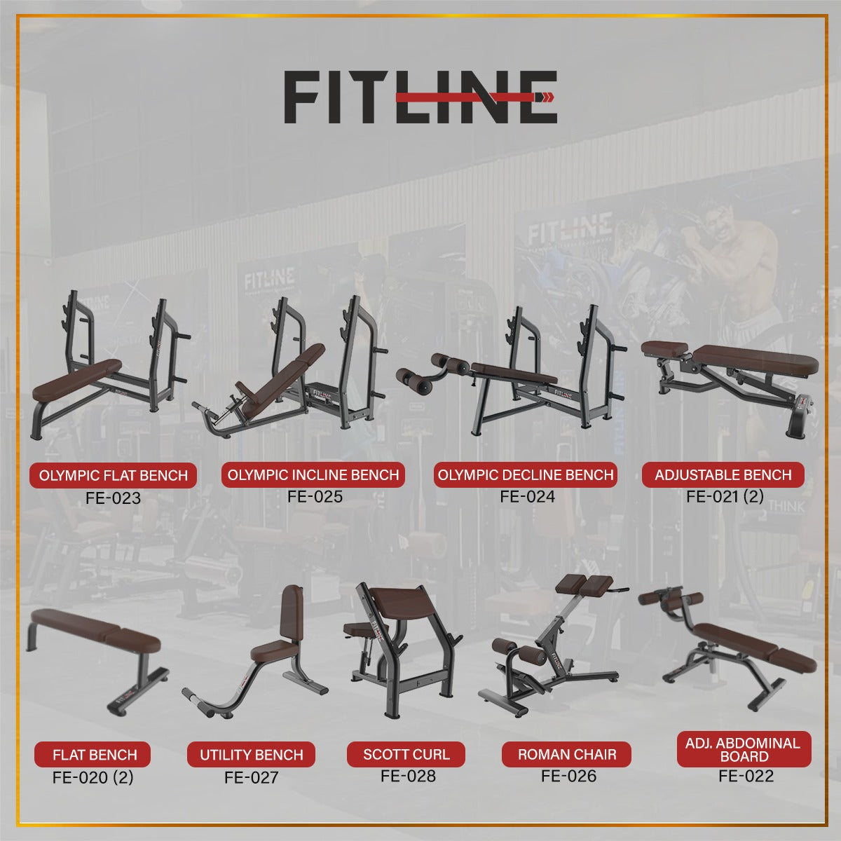 FitLine | Complete Gym Setup | Elite Package (₹16.29L) – Fitline India