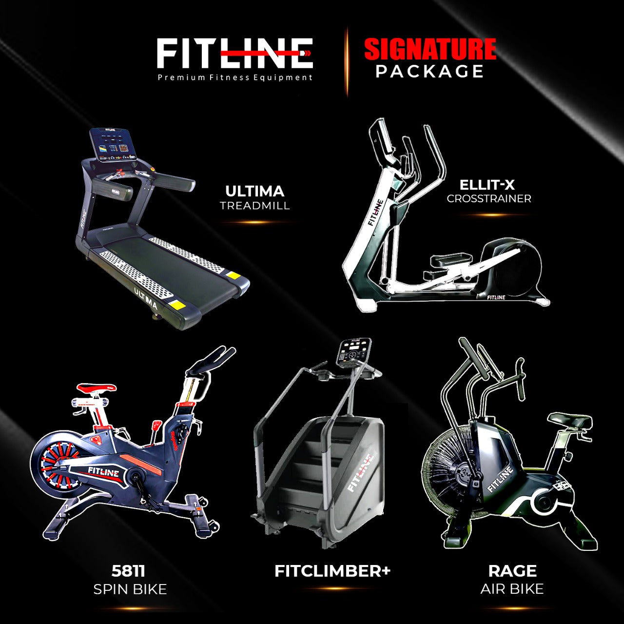 FitLine | Complete Gym Setup - Signature Package (₹33.02L*) – Fitline India