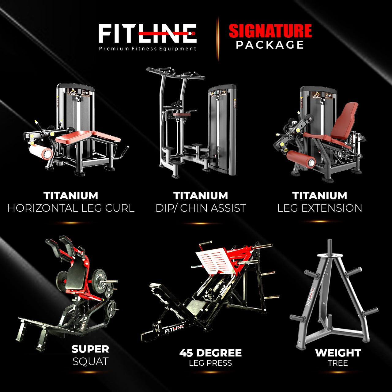 FitLine | Complete Gym Setup - Signature Package (₹33.02L*) – Fitline India